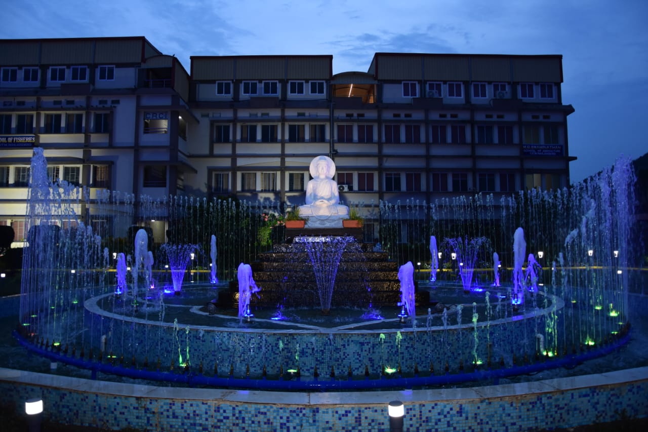 IEEE International Conference